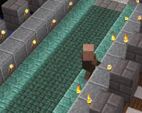 Villager GIFs - Get the best gif on GIFER