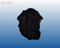 Fossil GIFs - Get the best gif on GIFER