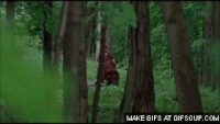 Assistance GIFs - Get the best gif on GIFER