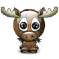 Moose GIFs - Get the best gif on GIFER