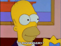 Scowl GIFs - Get the best gif on GIFER