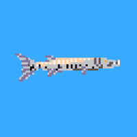 Barracuda GIFs - Get the best gif on GIFER