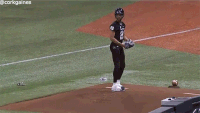 Bullpen GIFs - Get the best gif on GIFER