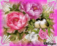 Floral GIFs - Get the best gif on GIFER