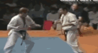Karate GIFs - Get the best gif on GIFER