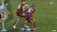 Queenslander GIFs - Get the best gif on GIFER