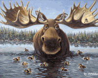 Moose GIFs - Get the best gif on GIFER