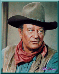 Western GIFs - Get the best gif on GIFER