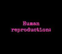 Geburt GIFs - Get the best gif on GIFER