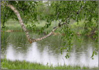 Landschaft GIFs - Get the best gif on GIFER
