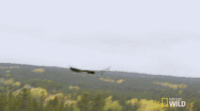 Yukon GIFs - Get the best gif on GIFER