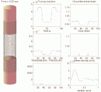 Dynamic GIFs - Get the best gif on GIFER