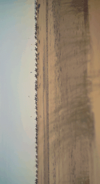 Boho sun GIFs - Get the best gif on GIFER