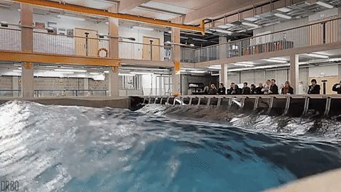 Wavepool GIF - Conseguir o melhor gif em GIFER