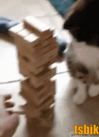 Jenga GIFs - Get the best gif on GIFER