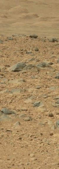 Curiosity GIFs - Get the best gif on GIFER