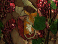 Fable GIFs - Get the best gif on GIFER