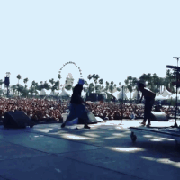 Feier GIFs - Get the best gif on GIFER