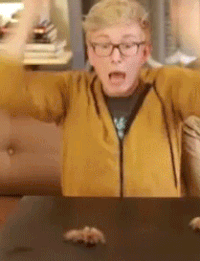 Jumbled GIFs - Get the best gif on GIFER