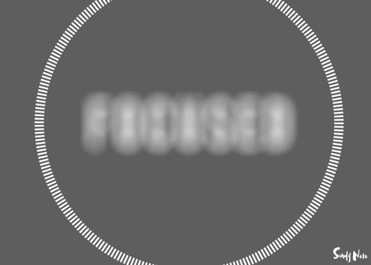 Focused GIFs - Get the best gif on GIFER