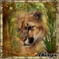 Puma гифки, анимированные GIF изображения puma - скачать гиф картинки ...