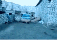 Escudo GIFs - Get the best gif on GIFER
