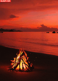 Playa GIFs - Get the best gif on GIFER