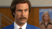 Anchormans GIFs - Get the best gif on GIFER
