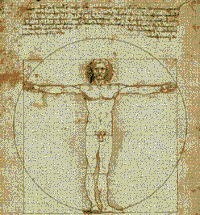 Symmetry GIFs - Get the best gif on GIFER