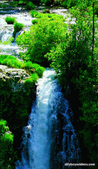 Natural GIFs - Get the best gif on GIFER