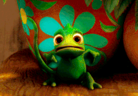 Pascal GIFs - Get the best gif on GIFER