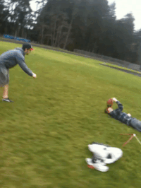 Confiance GIFs - Get the best gif on GIFER