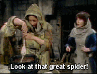 Distraction GIFs - Get the best gif on GIFER