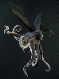 Wasp GIFs - Get the best gif on GIFER