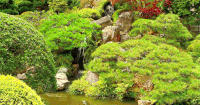 Japanese GIFs - Get the best gif on GIFER