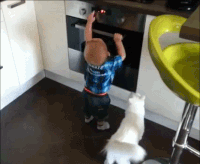 Kitchens GIFs - Get the best gif on GIFER