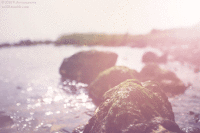 Bohemian GIFs - Get the best gif on GIFER