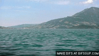 Urlaub GIFs - Get the best gif on GIFER