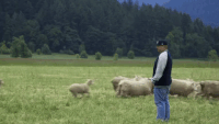 Field GIFs - Get the best gif on GIFER