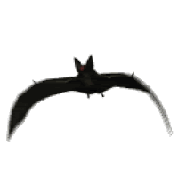 Chauve souris GIFs - Get the best gif on GIFER