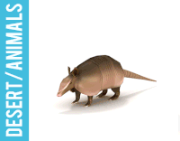 Ecology GIFs - Get the best gif on GIFER