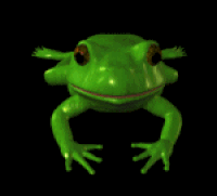 Frog GIFs - Get the best gif on GIFER