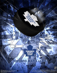 Toronto maple leafs GIF - Conseguir el mejor gif en GIFER