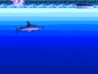 Sharky GIFs - Get the best gif on GIFER
