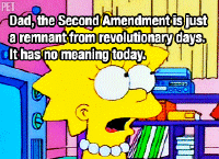 Amendment GIFs - Get the best gif on GIFER