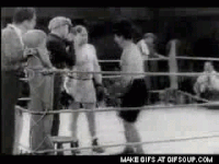 Measurements GIFs - Get the best gif on GIFER