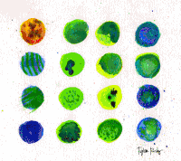 Polka dots GIFs - Get the best gif on GIFER