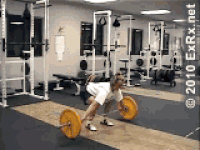 Snatching GIFs - Get the best gif on GIFER