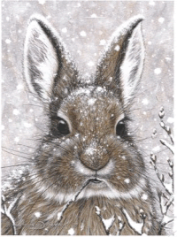 B GIFs - Get the best gif on GIFER