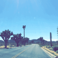 Desert GIFs - Get the best gif on GIFER